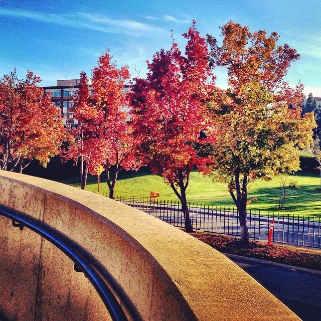 Watson Bridge, Campus Dr, Irvine, CA, Bridge - MapQuest