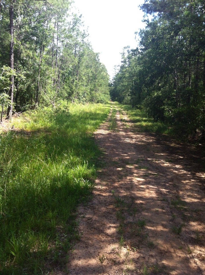 W G Jones State Forest, 1328 FM 1488 Rd, Conroe, TX, Parks - MapQuest