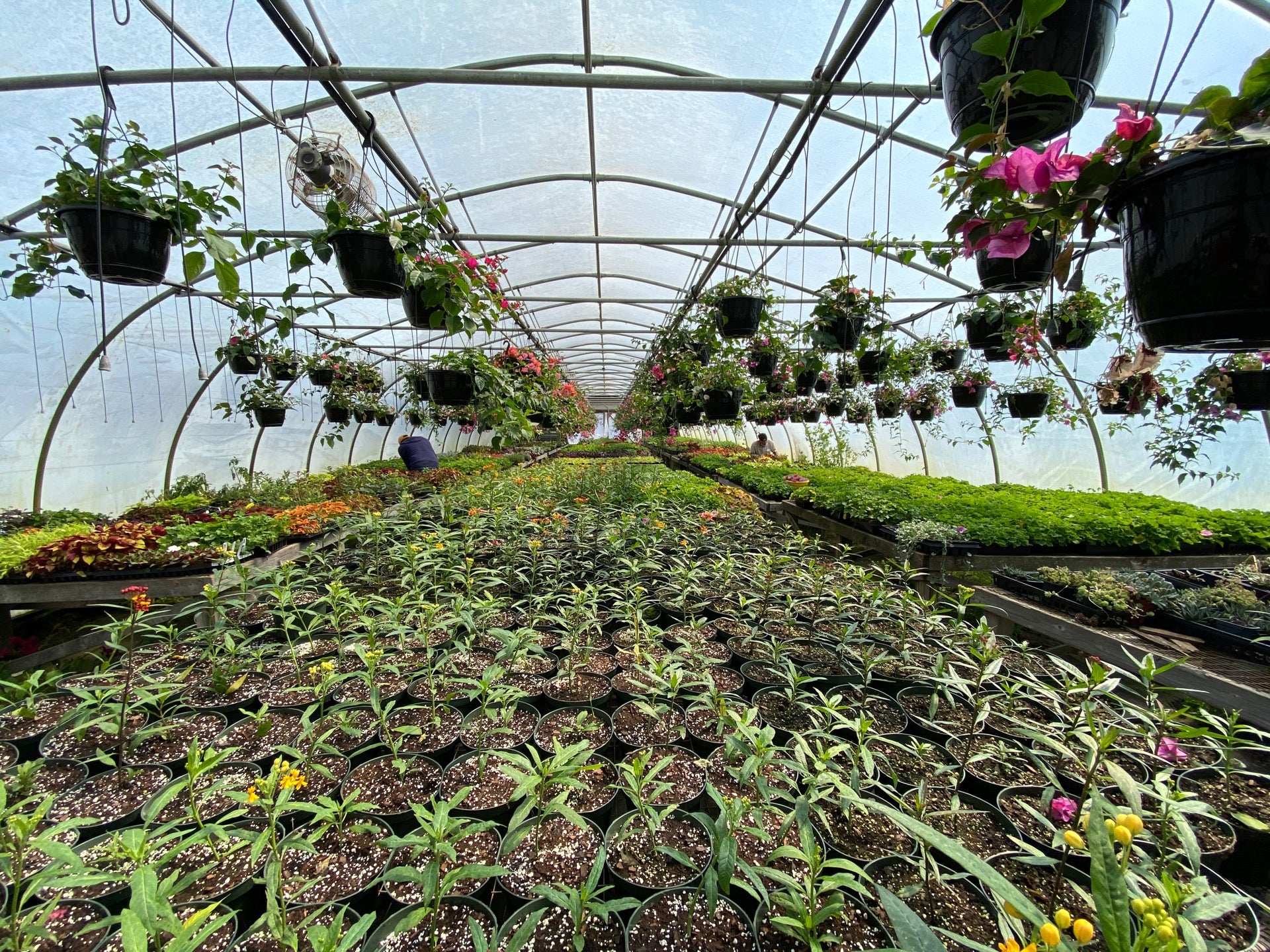 Platt's Farm Market, 70 W Cohawkin Rd, East Greenwich Twp, NJ, Fruit ...