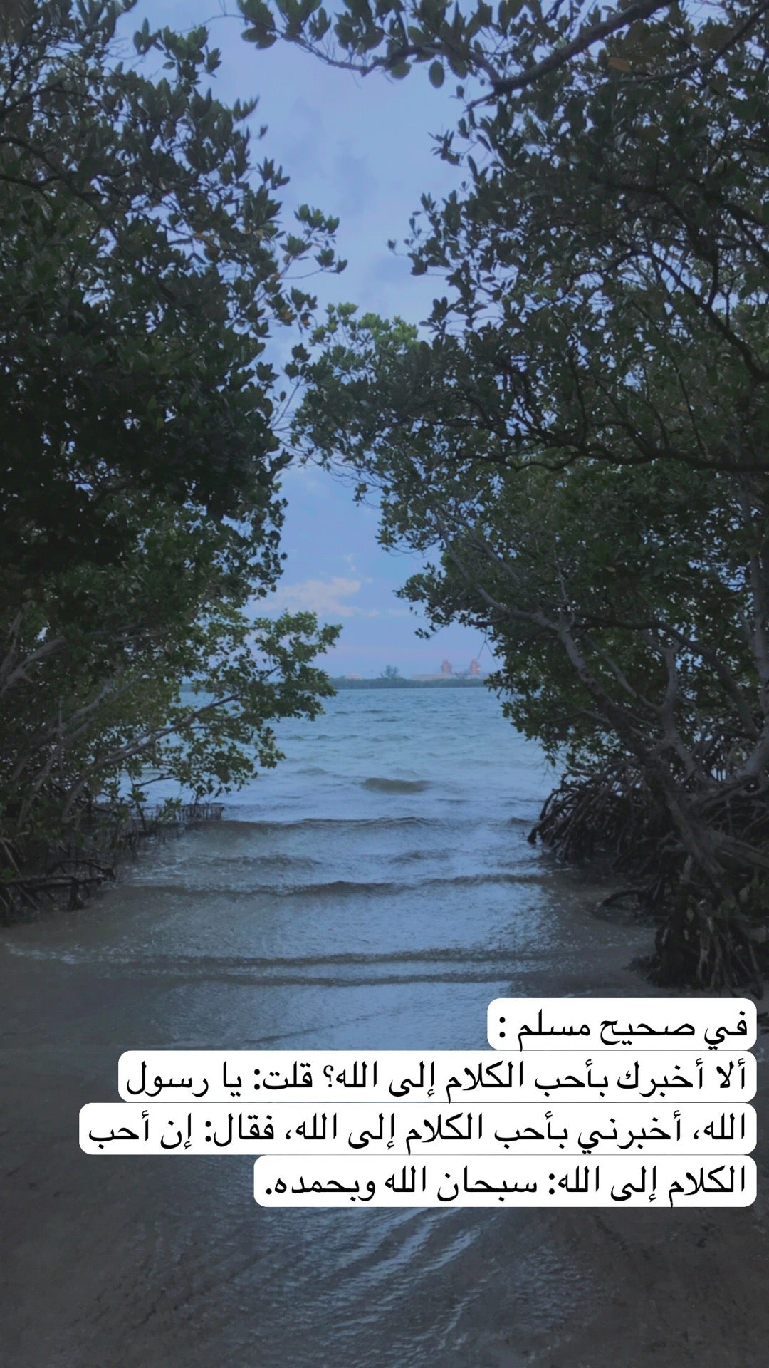 Gandy Beach Mangroves, Gandy Blvd N, Saint Petersburg, FL, Nudist Parks ...