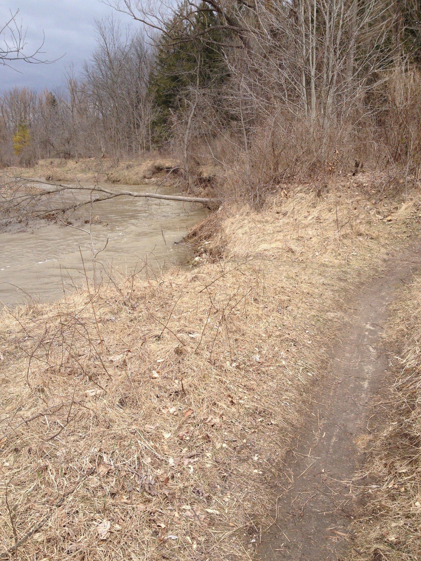 Scotiabank Pond Arena, 57 Carl Hall Rd, North York, ON - MapQuest
