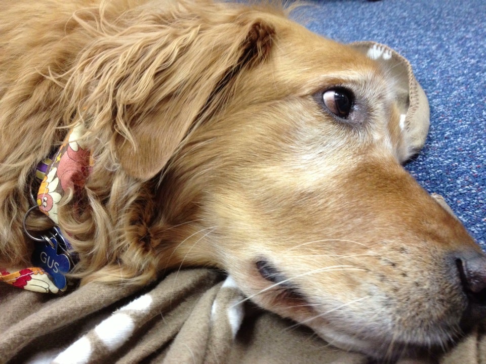 Memorial Endoscopy Center, 1233 Campbell Rd, Houston, TX, Surgery ...