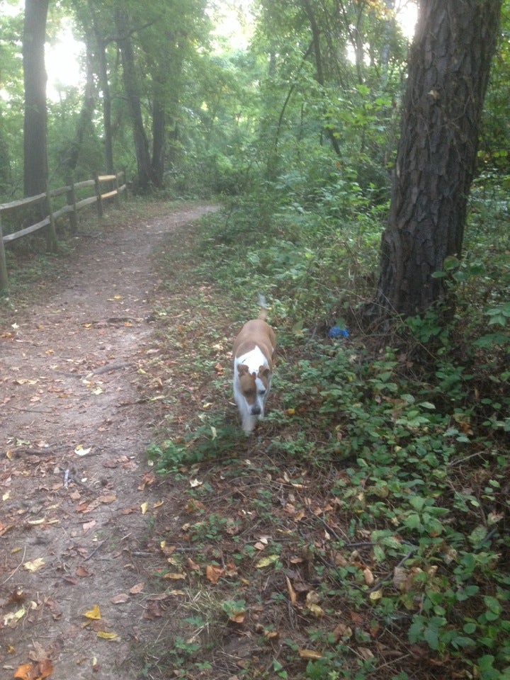 Matapeake State Park, 1112 Romancoke Rd, Stevensville, MD, Parks - MapQuest Matapeake State Park, 1112 Romancoke Rd, Stevensville, MD, Parks - MapQuest