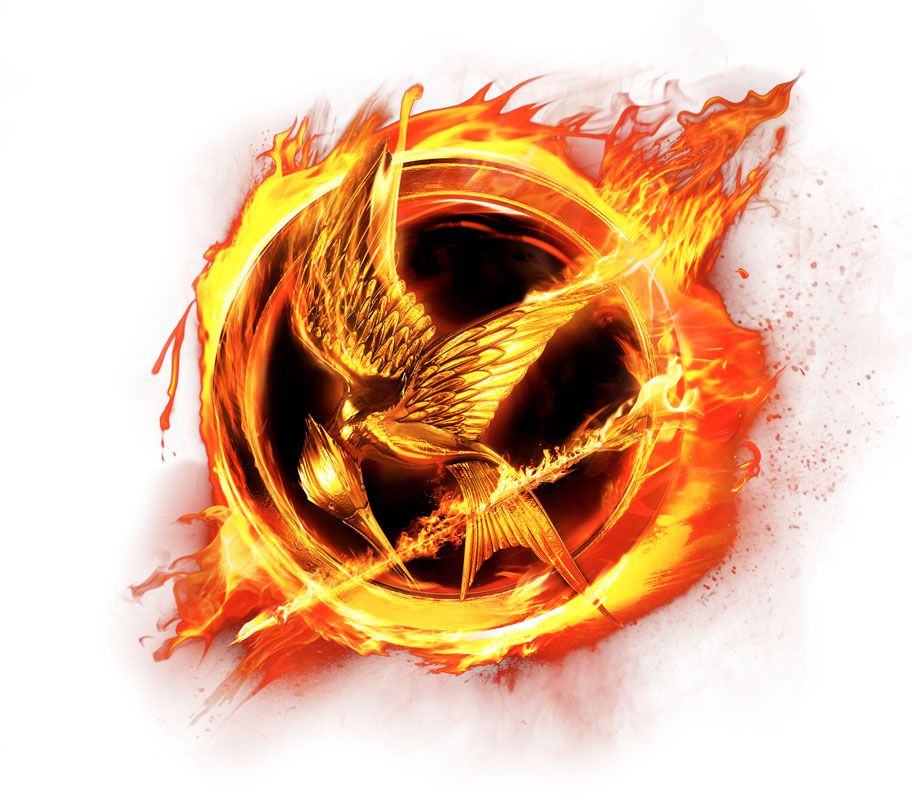Mockingjay Pin On Fire Drawing