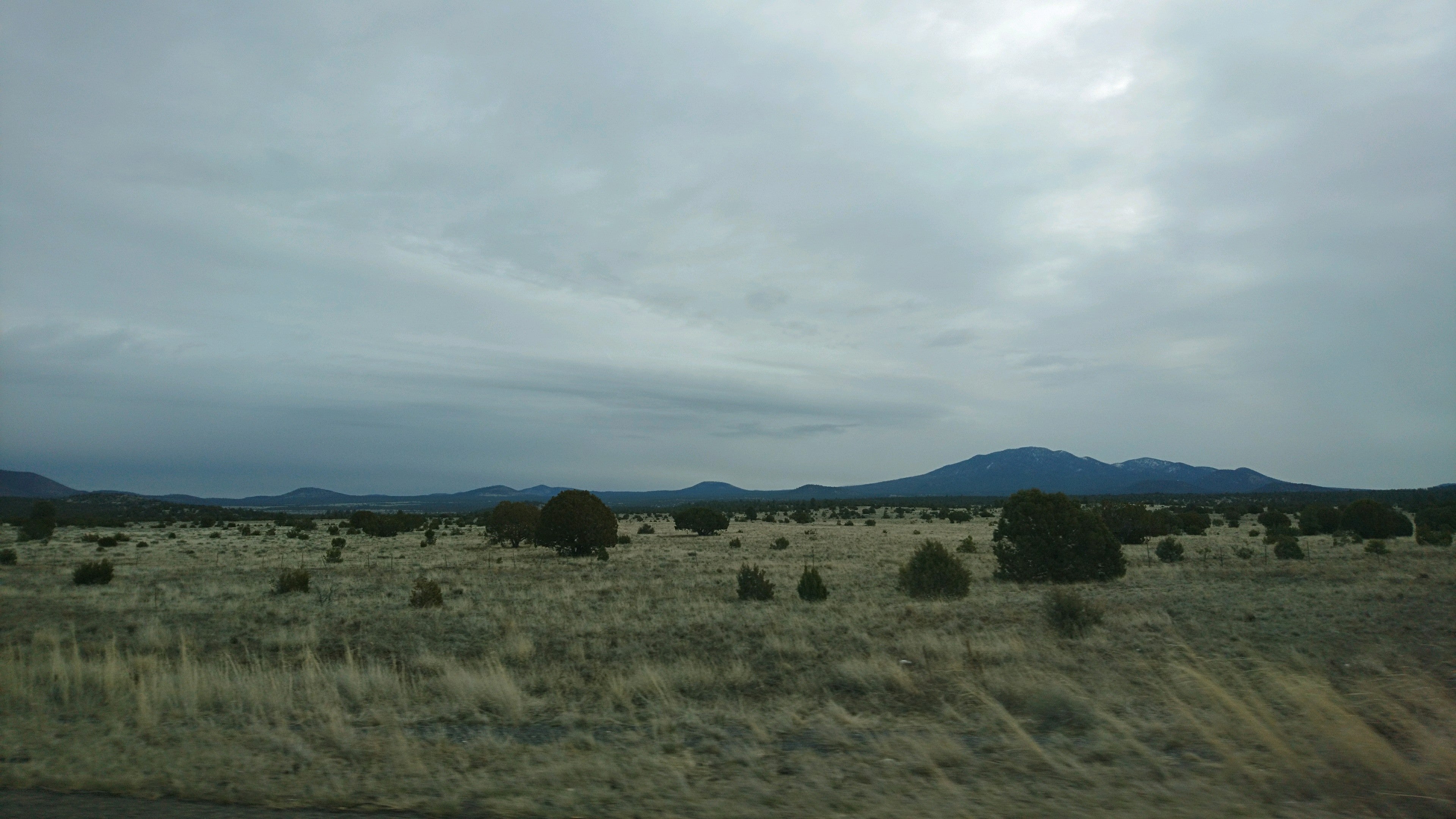 Kaibab National Forest, AZ-64, Williams, AZ, Forest - MapQuest