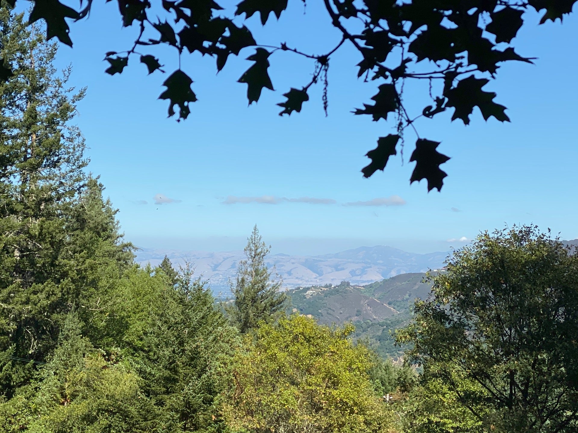 Redwood Springs Trail, Los Gatos, CA, Trail - MapQuest