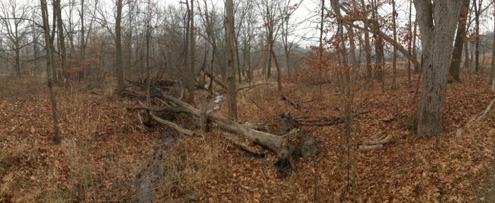 Center Point, IA Map & Directions - MapQuest