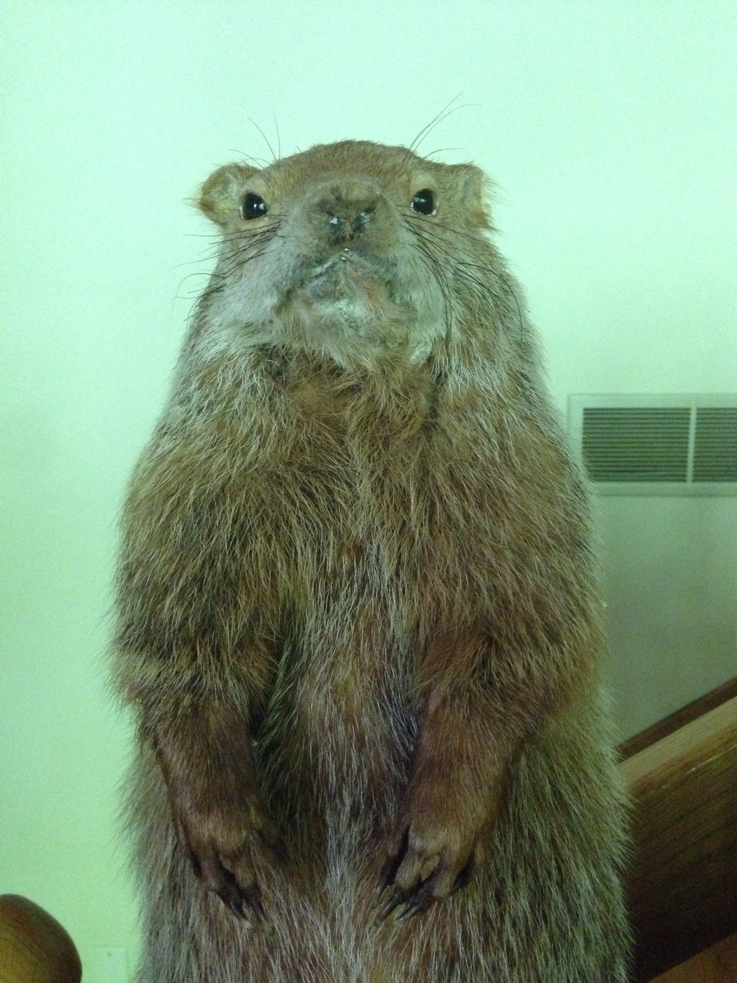 Howe, IN Map & Directions - MapQuest