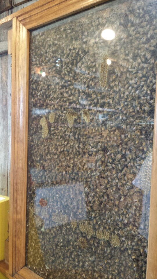 Carrollton, MO Map & Directions - MapQuest