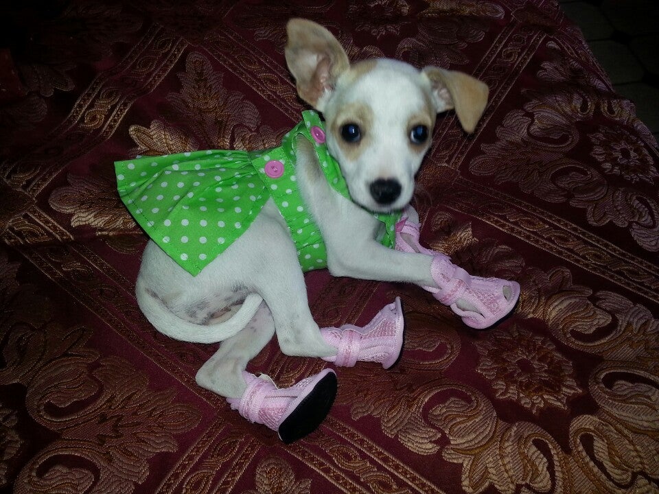 Medley, FL Map & Directions - MapQuest