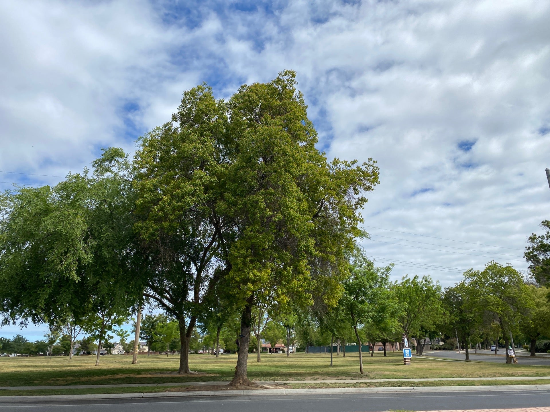 Riverdale, CA Map & Directions - MapQuest