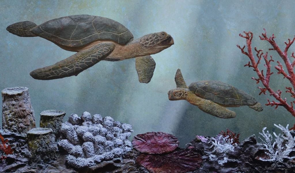 Mapa De Quincy, Florida