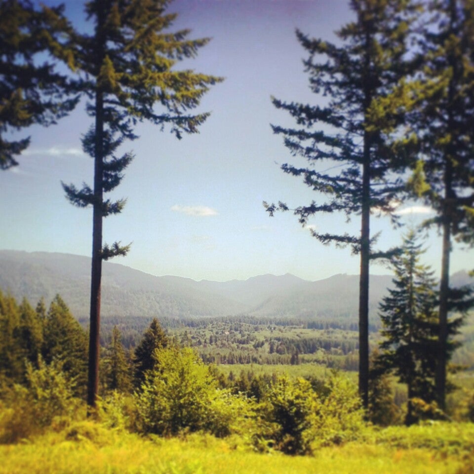 Amboy, WA Map & Directions - MapQuest