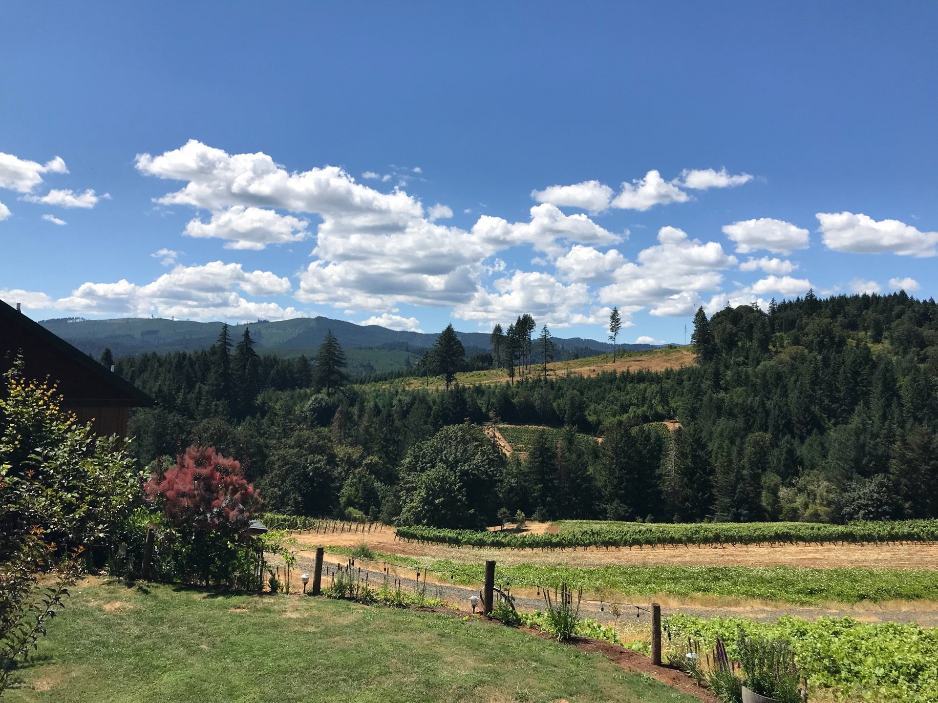 Blachly, OR Map & Directions - MapQuest