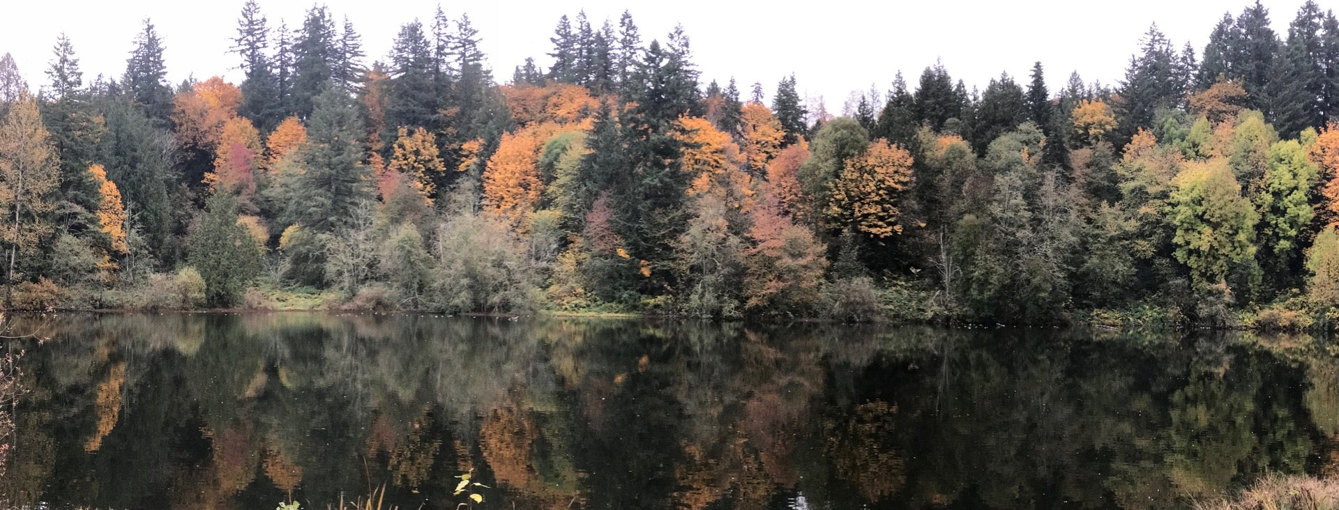 Duvall, WA Map & Directions - MapQuest