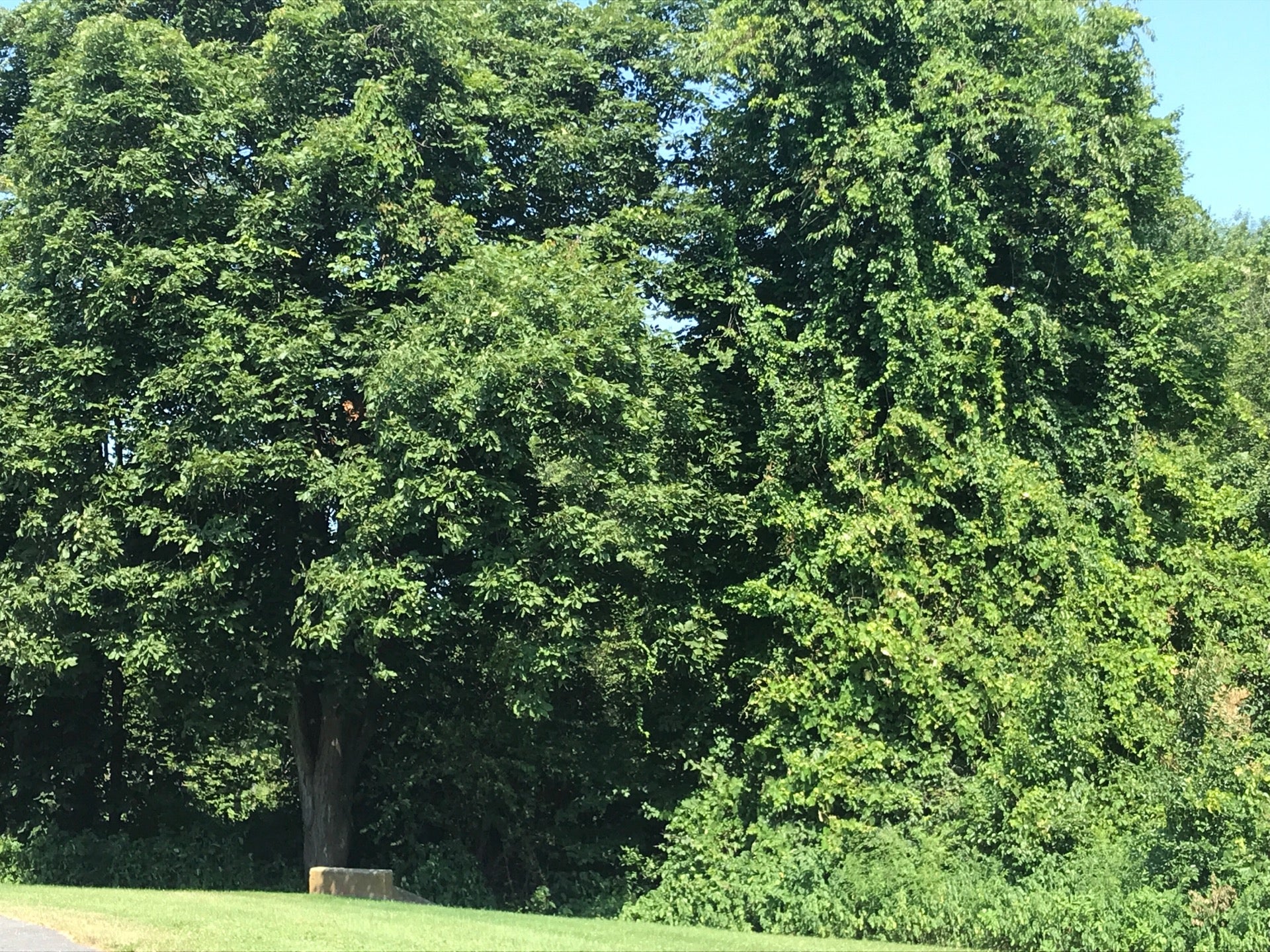 Adamstown, PA Map & Directions - MapQuest