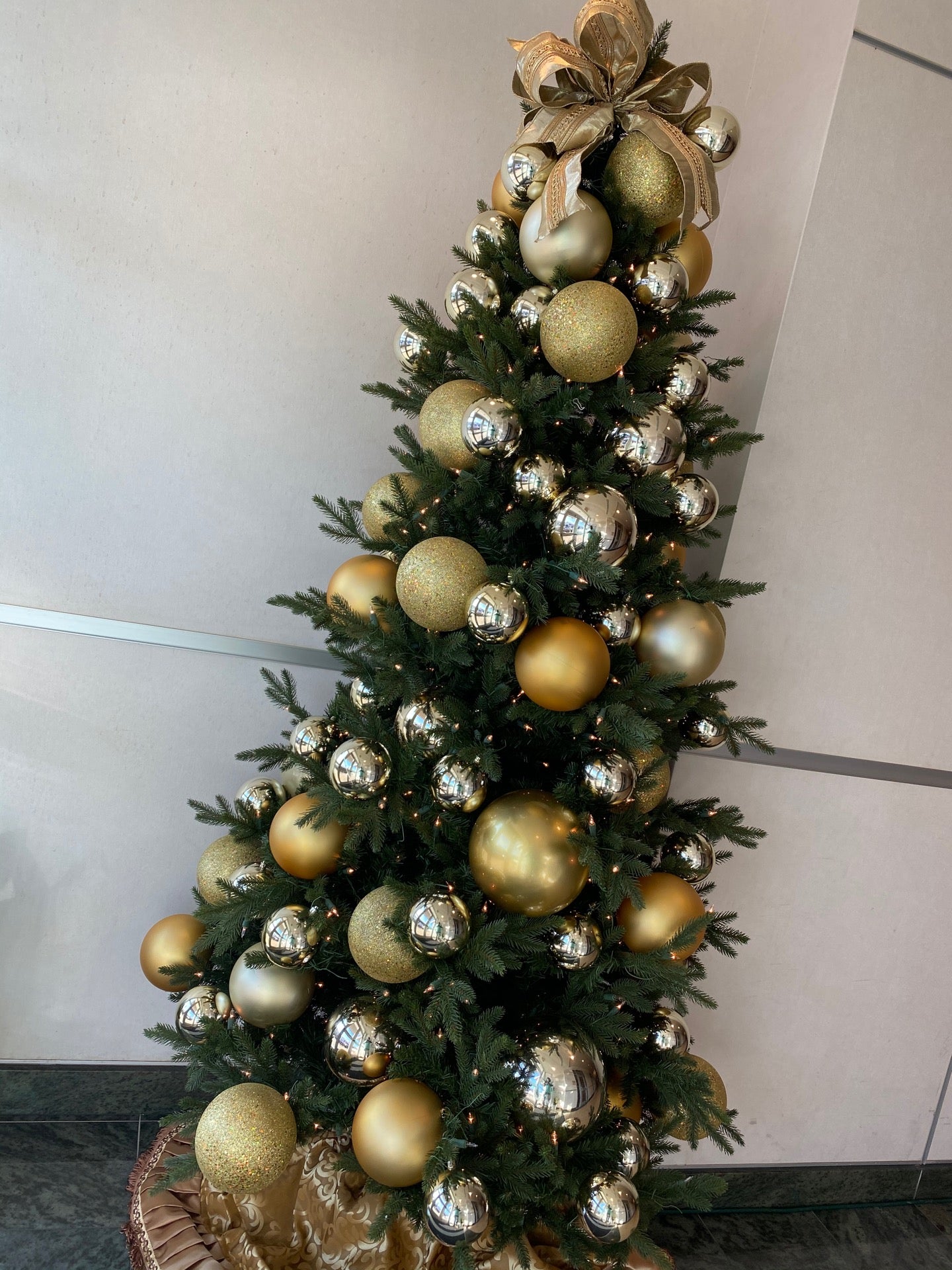 Park Cities Surgery Center, 6901 Snider Plz, Dallas, TX, Surgeon - MapQuest