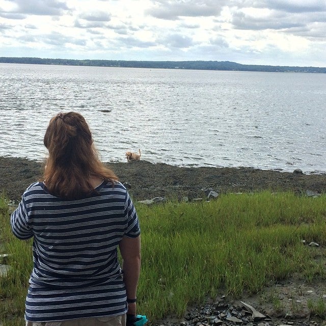 Adams Point Wildlife Management Area, Adams Point Rd, Durham, NH - MapQuest