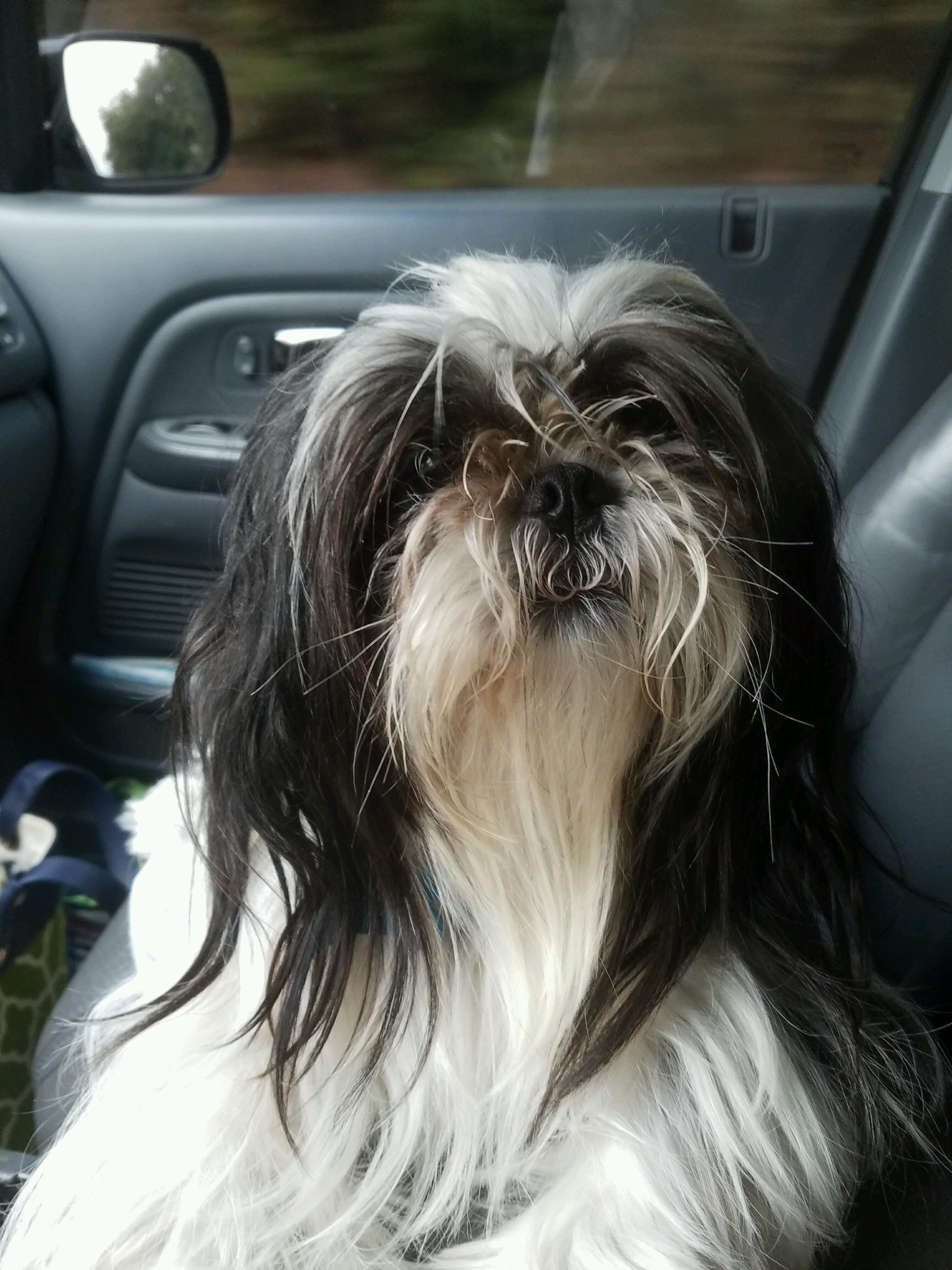 Ninety Six, SC Map & Directions - MapQuest