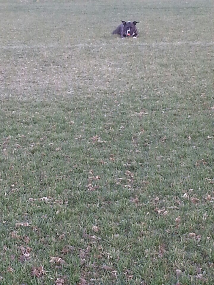 Vaughn Middle School, 1200 Bresson Ave, Reno, NV - MapQuest