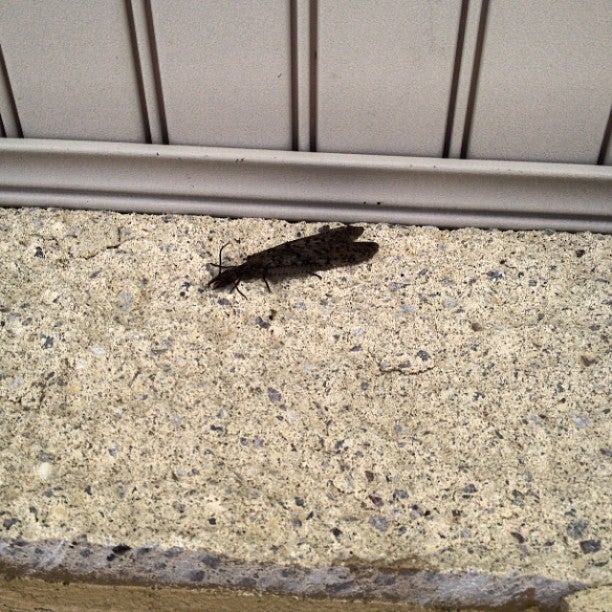 Ockanickon Scout Reservation, 5787 State Park Rd, Pipersville, PA ...