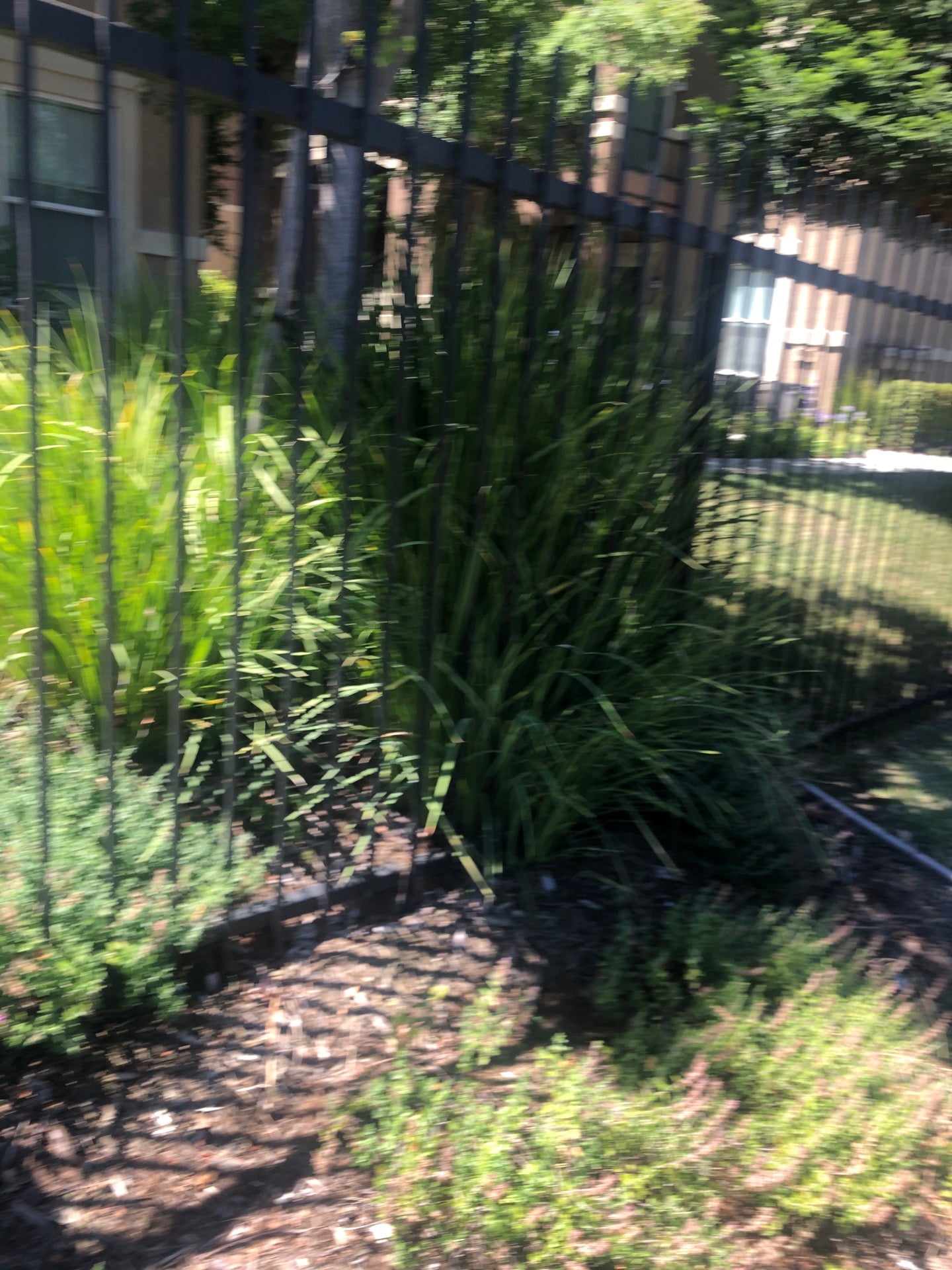 Valencia Point Apartments, 4500 Natomas Central Dr, Sacramento, CA ...