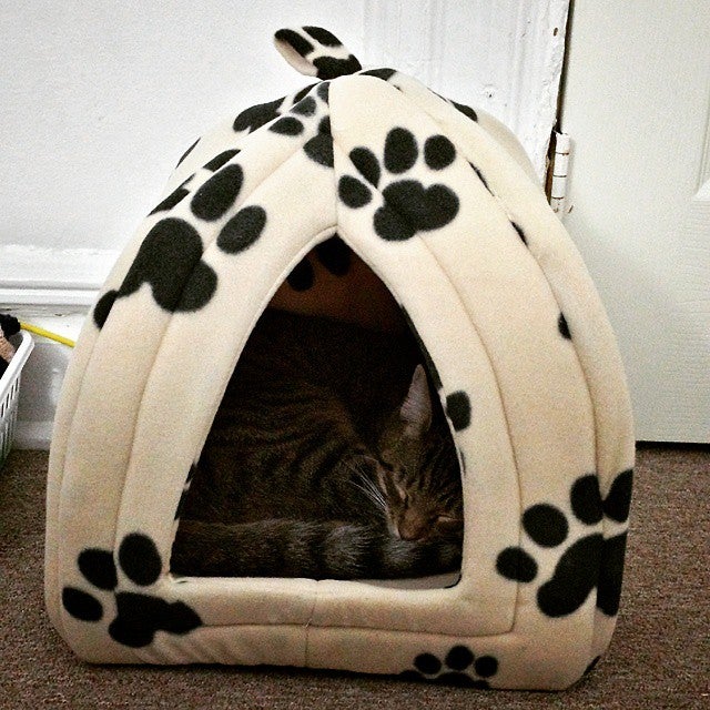 Northern State Prison, 168 Frontage Rd, Newark, NJ, Government Offices ...