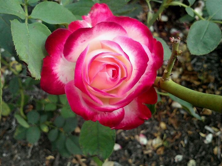 Ona, WV Map & Directions - MapQuest