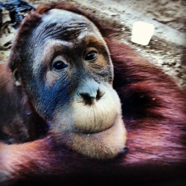 Toronto Zoo, 2000 Meadowvale Rd, Toronto, ON - MapQuest