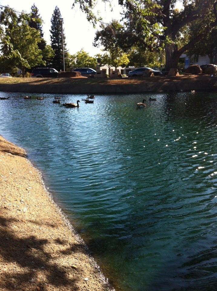 California Park Lake, Chico, CA - MapQuest