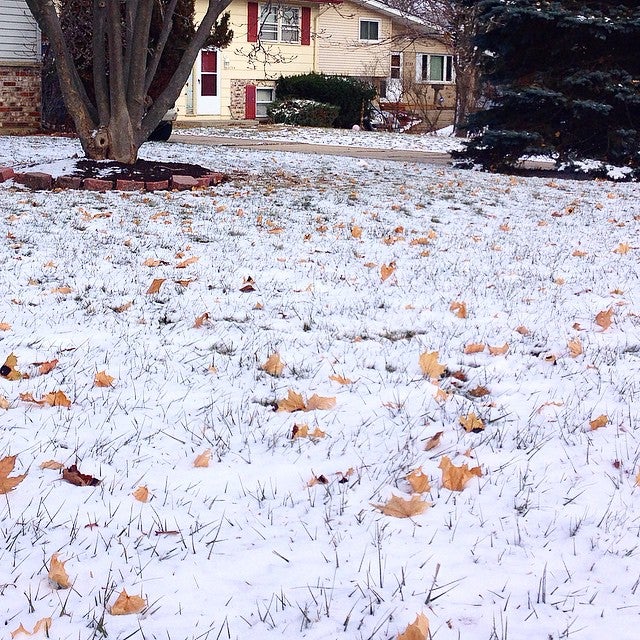 Wadsworth, IL Map & Directions - MapQuest