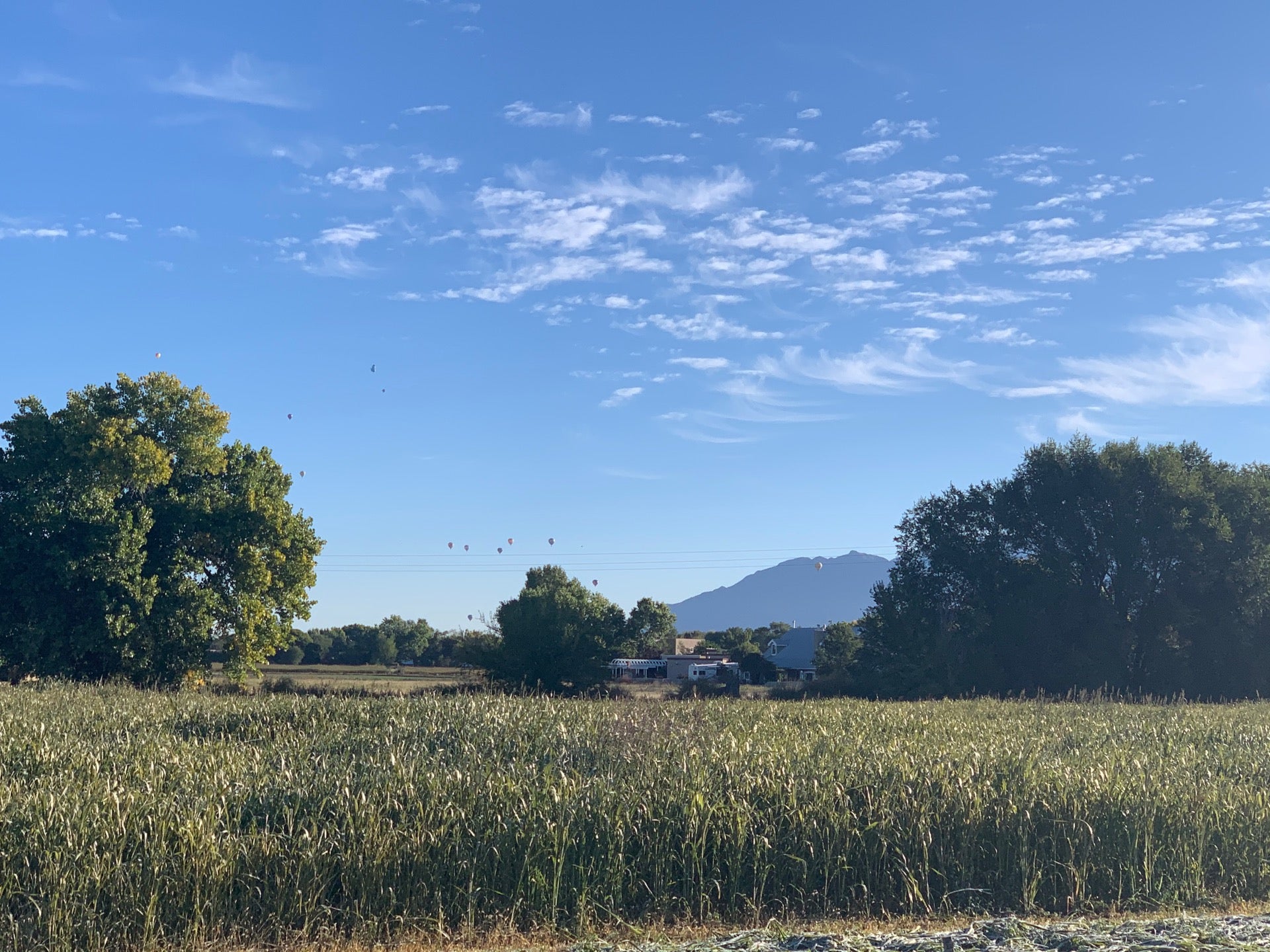 Los Poblanos Open Space, 5601 Tierra Viva Pl NW, Albuquerque, NM ...