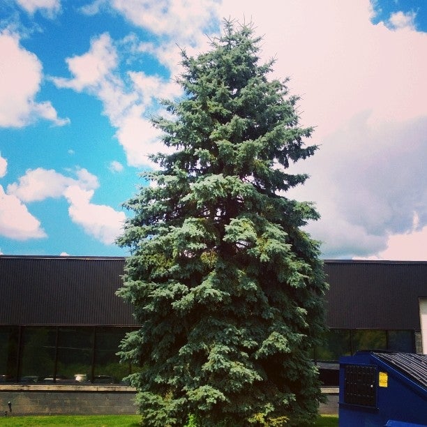 Maximus Federal, 3750 Monroe Ave, Pittsford, Town of, NY, Management ...