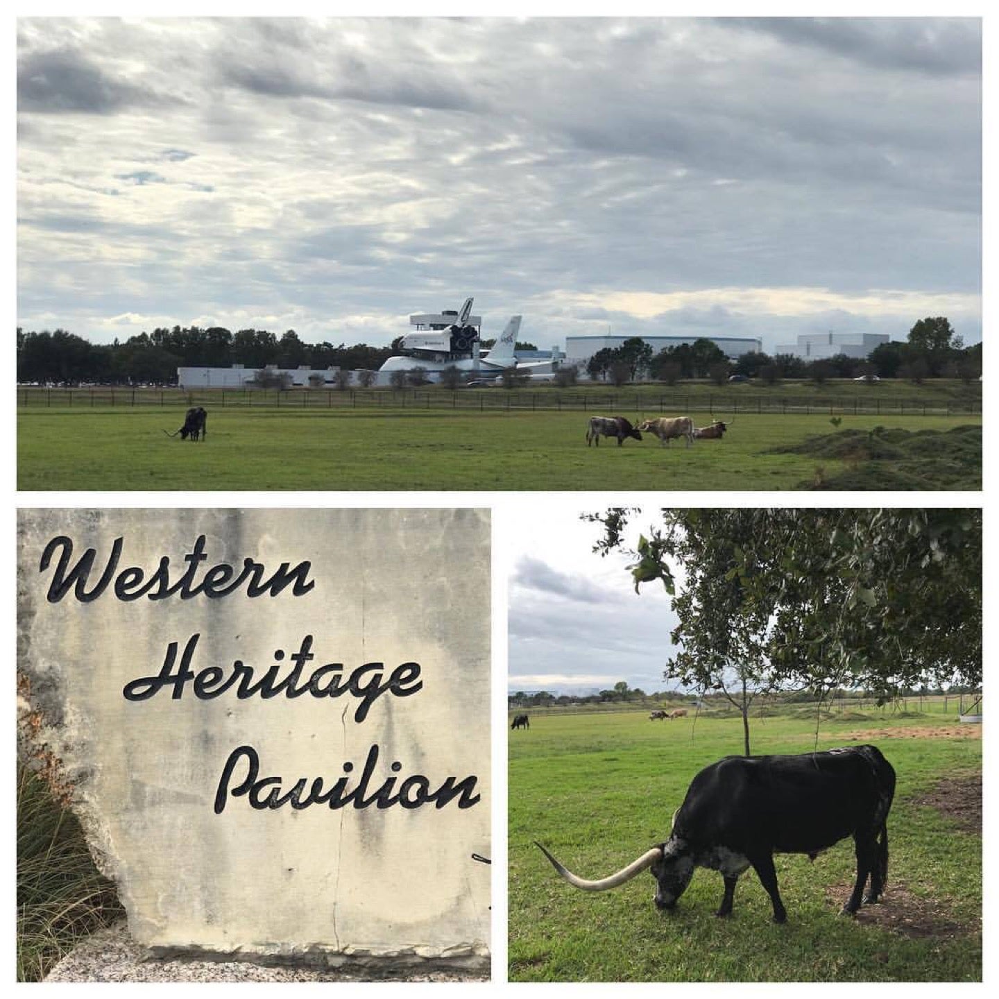 NASA Longhorn Project, Houston, TX - MapQuest