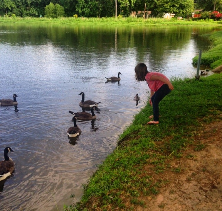Spring Lake Park Splash Pad, 2 Fairground Ave, Texarkana, TX, Parks ...
