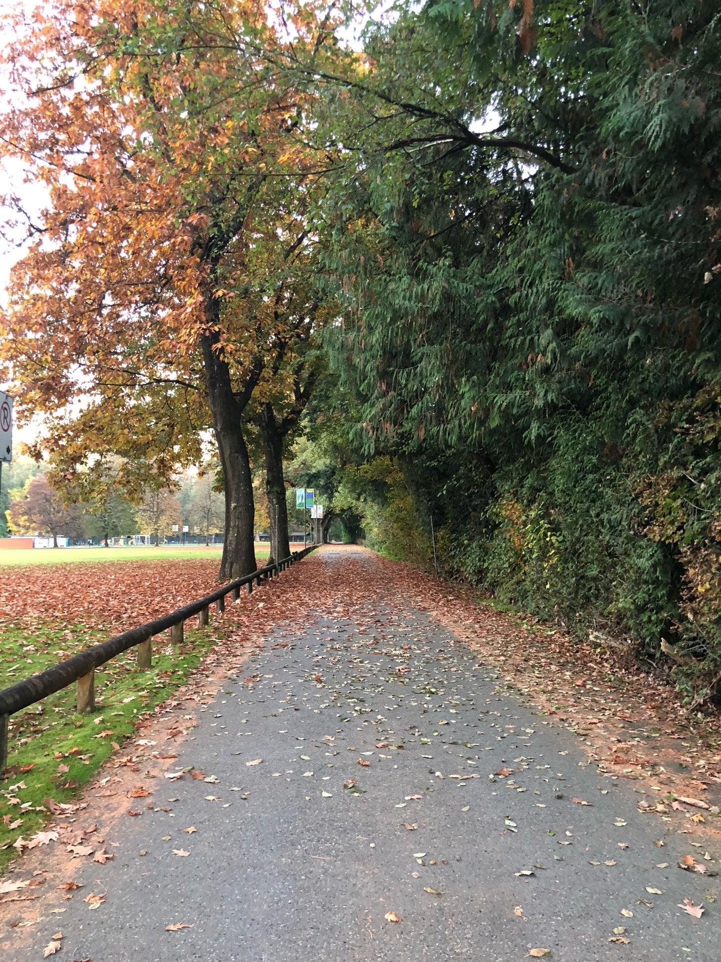 Port Kells Park, 19340 88 Ave, Surrey, BC, Playgrounds - MapQuest
