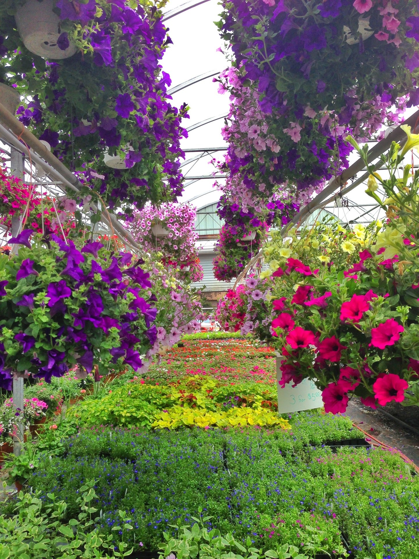 Mark's Farm Market & Greenhouses, 4374 W US Highway 20, La Porte, IN ...