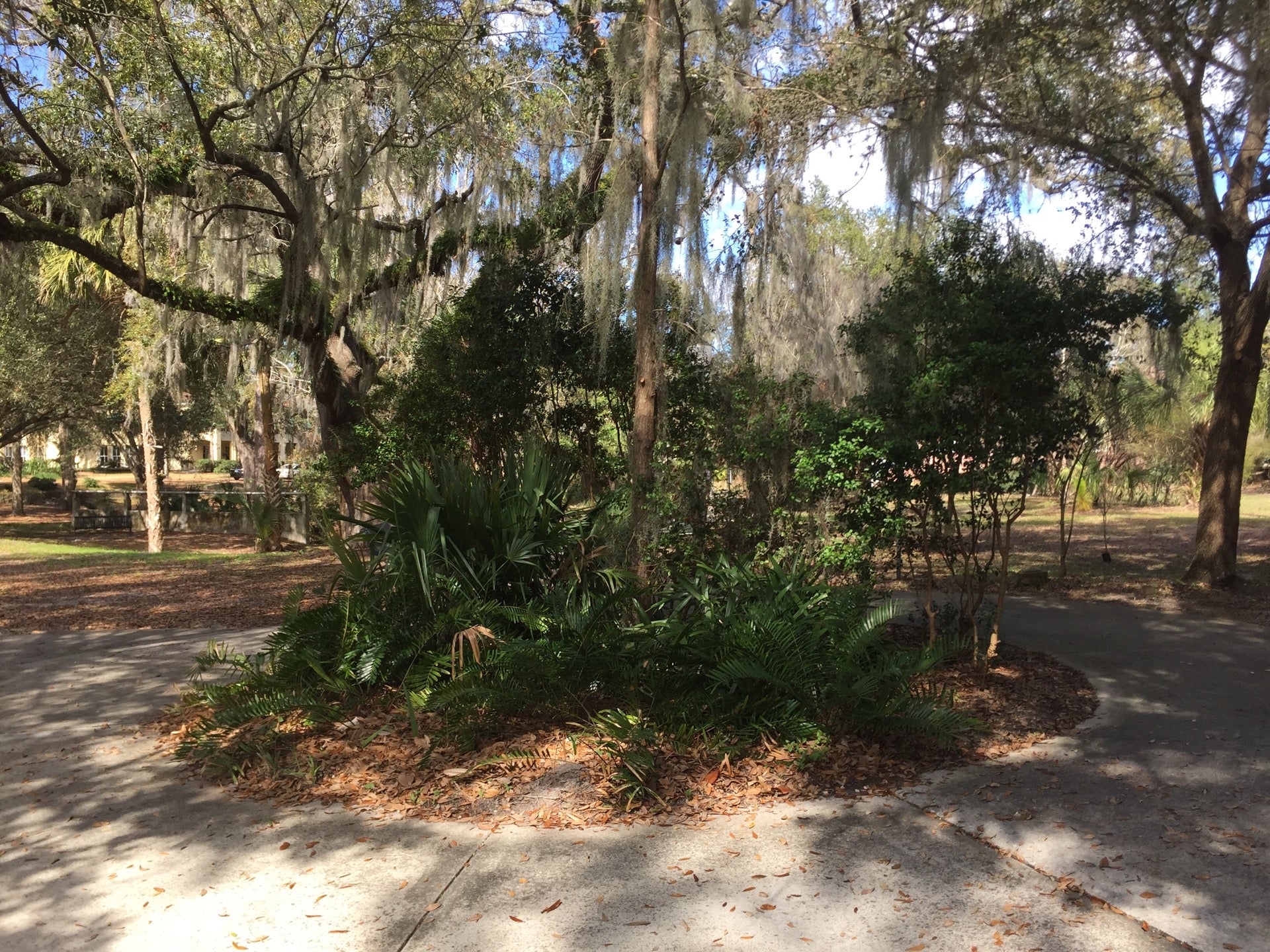 Sweetwater Park, 415 SE 2nd Ave, Gainesville, FL, Parks - MapQuest