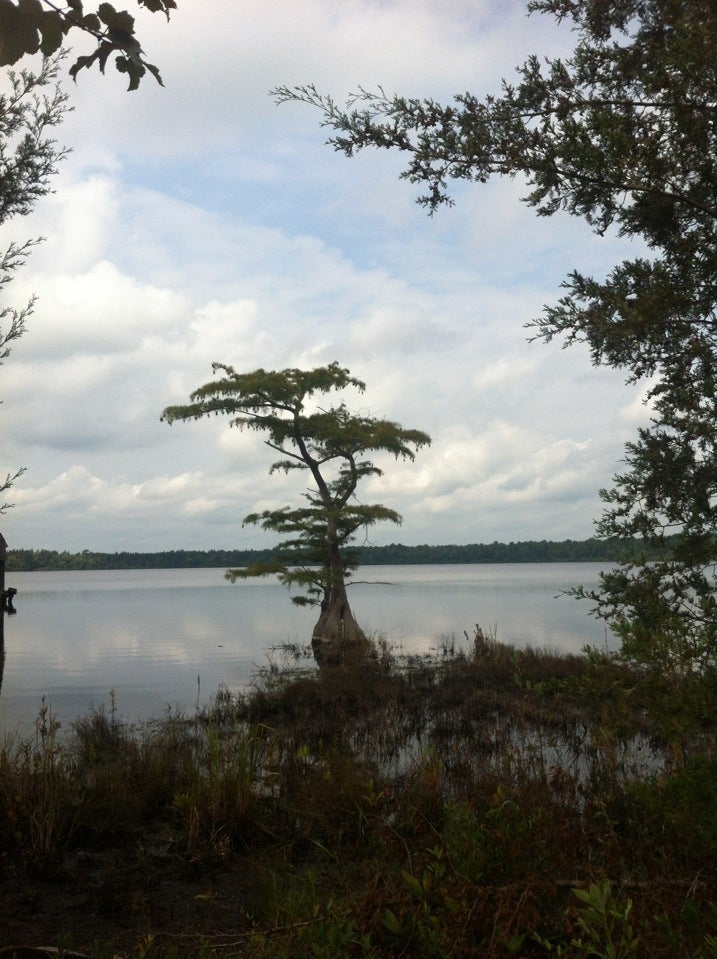 Tar Heel, NC Map & Directions - MapQuest