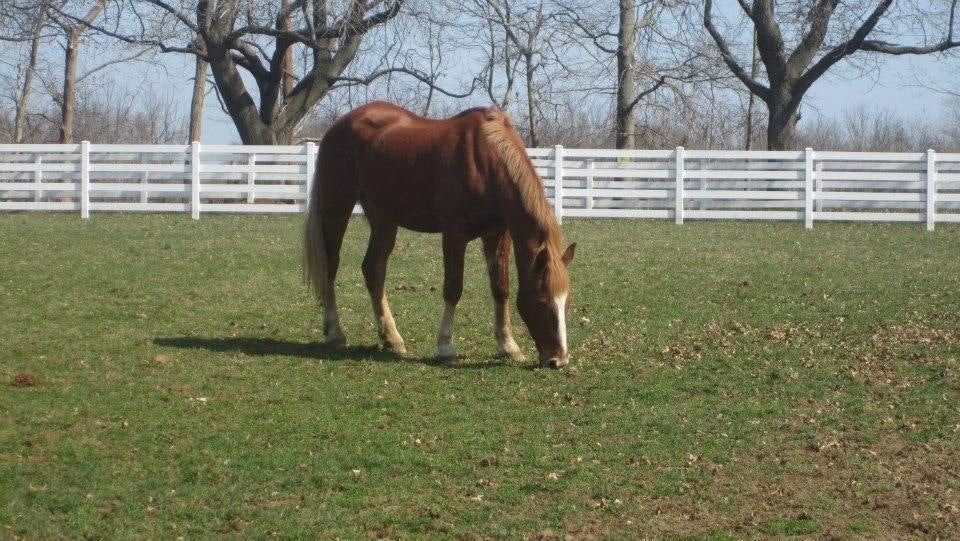 Stillwell Farm, 117 Muhlenbrink Rd, Colts Neck, NJ - MapQuest