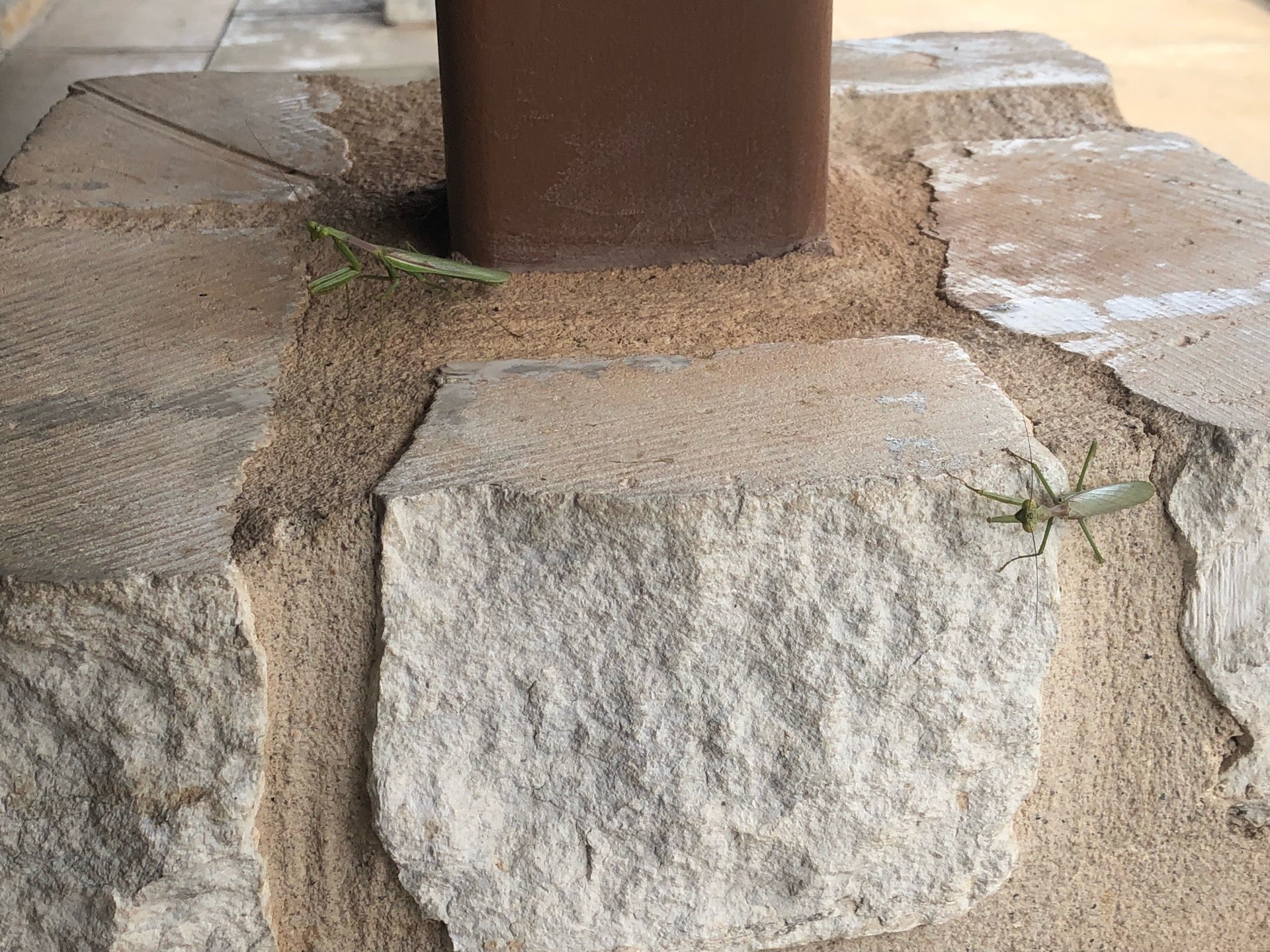 Silver Falls Rest Area, Crosbyton, TX - MapQuest