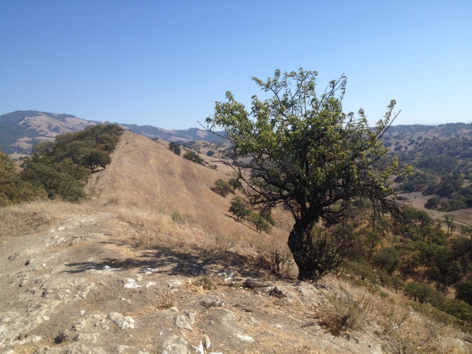 Shell Ridge Open Space, Walnut Creek, CA, Trail - MapQuest