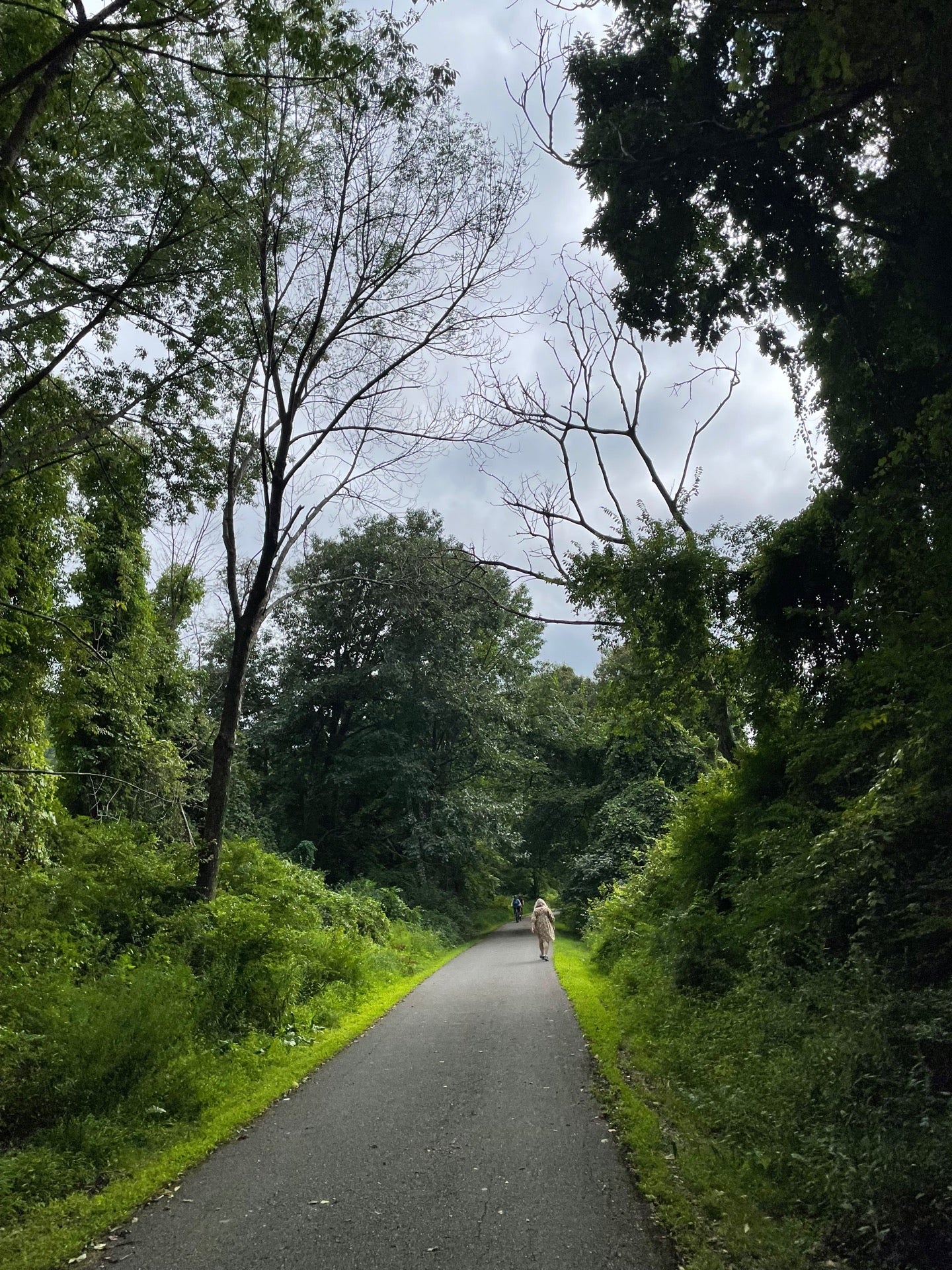 Harlem Valley Rail Trail Taconic State Park, Copake Falls, NY, Landmark ...