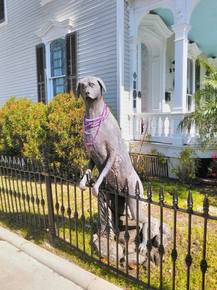 Great Dane Tree Sculpture, 1228 Sealy St, Galveston, TX, Art - MapQuest