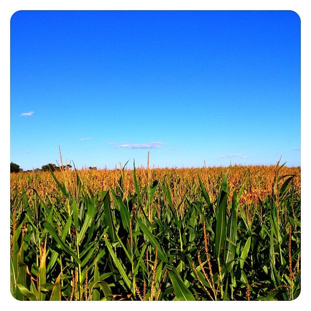 Mid Florida, FL Map & Directions - MapQuest