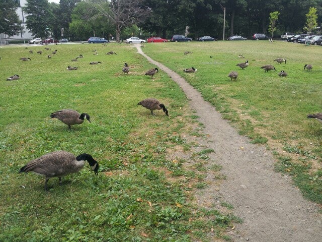 Forsyth Building, 70 Forsyth St, Boston, MA, Colleges & Universities ...