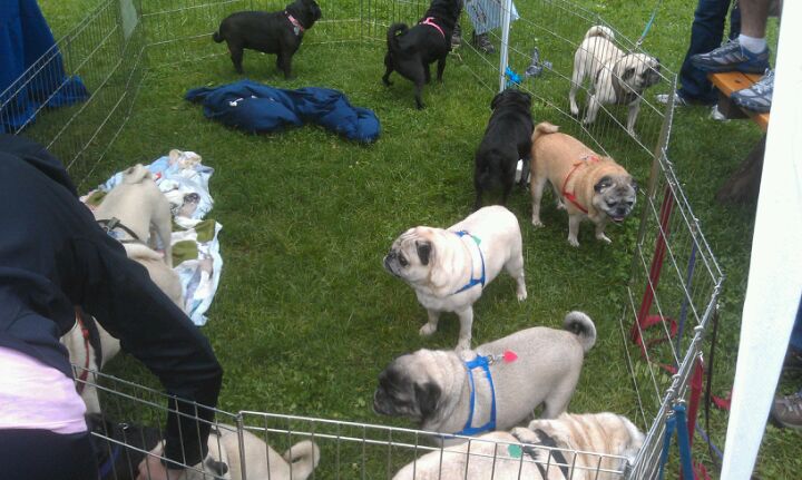 Cook Park, Shambrook Pkwy, Colonie, NY - MapQuest