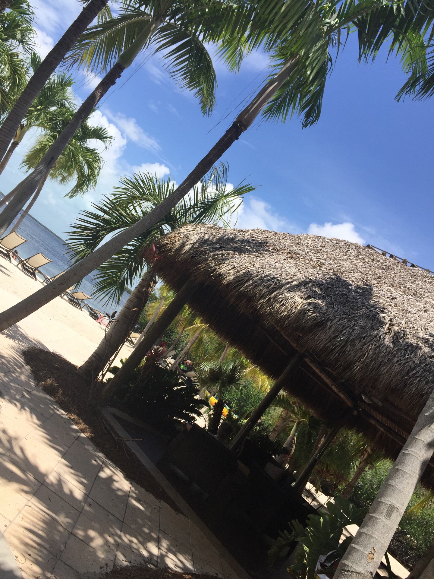 Hampton Tiki Bar, 102400 Overseas Hwy, Key Largo, FL, Bars - MapQuest