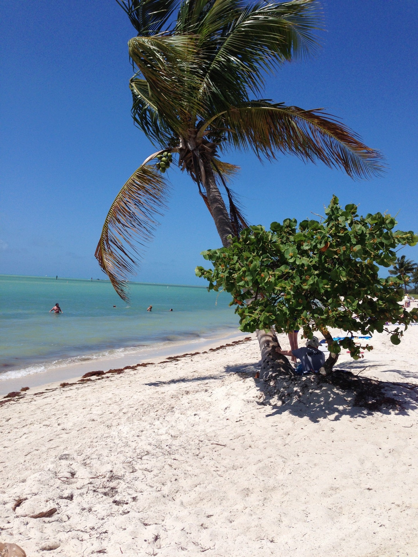 Sombrero Beach, Sombrero Beach Rd, Marathon, FL - MapQuest