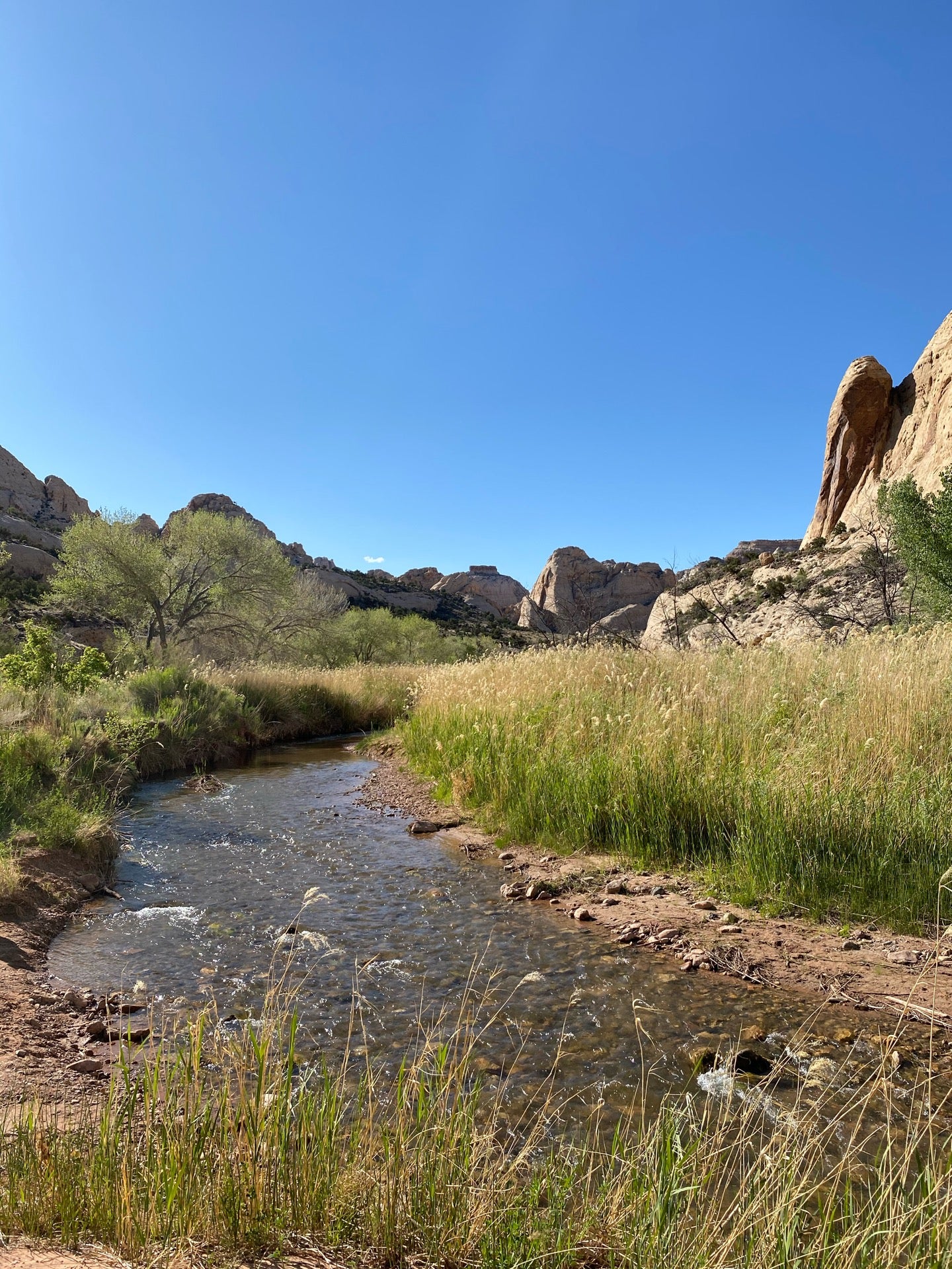 Torrey, UT Map & Directions - MapQuest